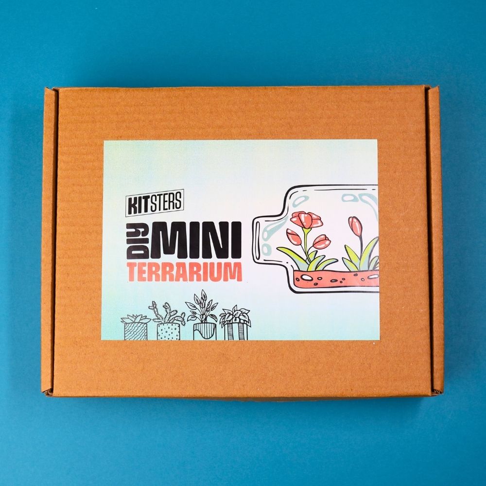 DIY Mini Terrarium Kit | DIY Gardening Kit | Kitsters