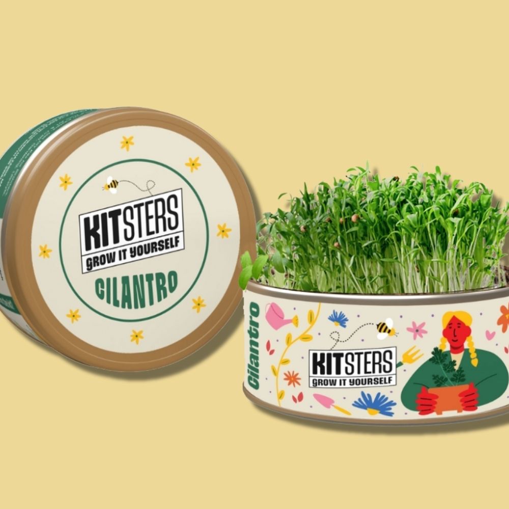 Grow In A Can: Cilantro | DIY Gardening Kits | Kitsters