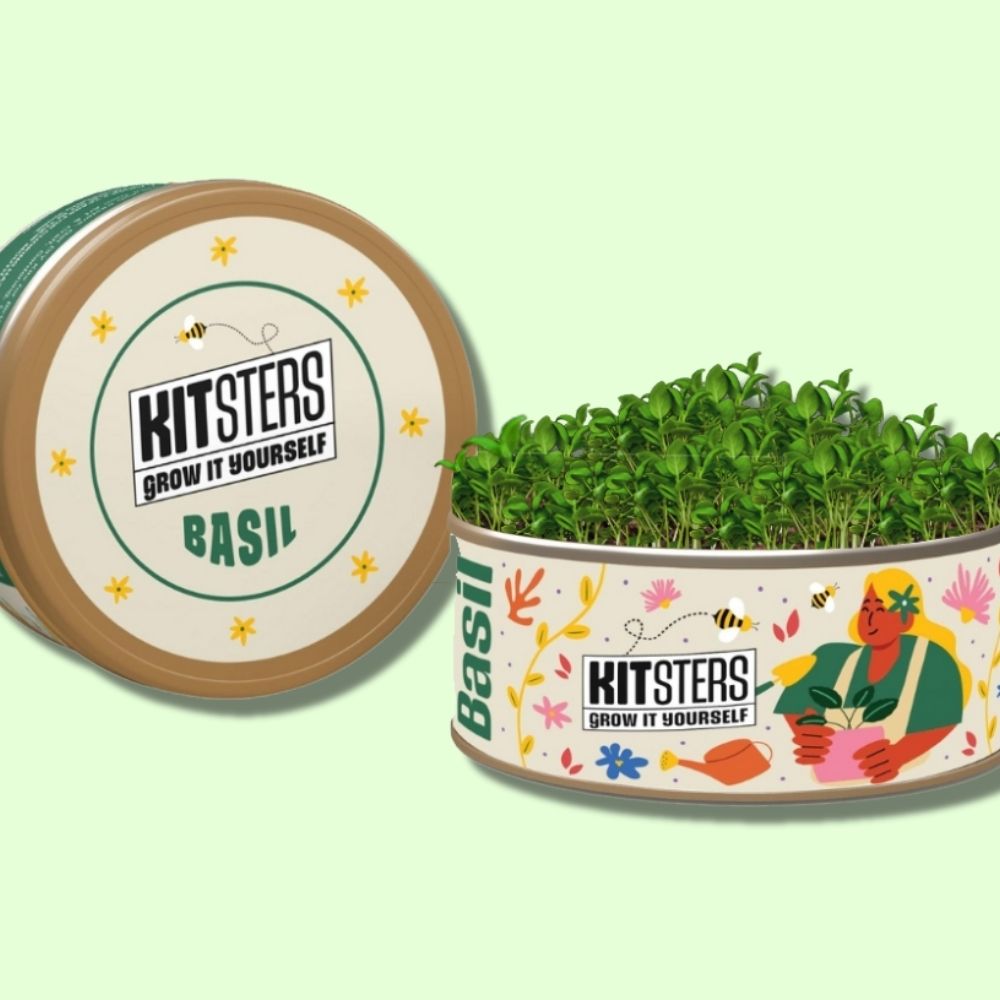 Grow in a Can - Basil | Fresh Basil Growing Kit for Home | Kitsters