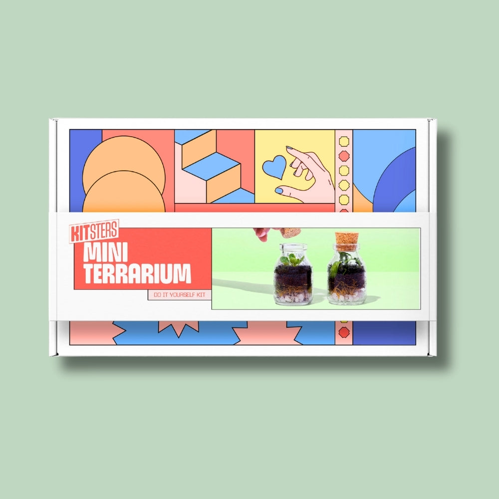 DIY Mini Terrarium Kit | DIY Gardening Kit | Kitsters