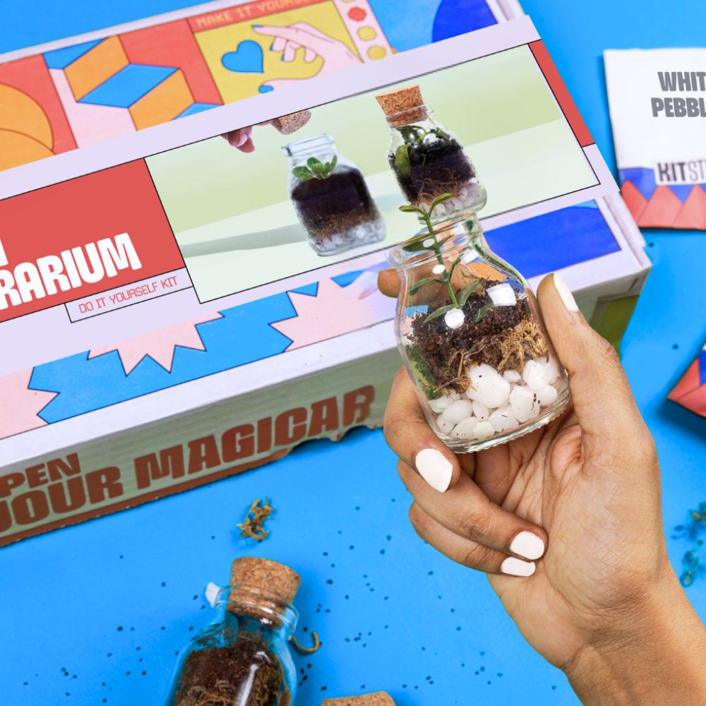 DIY Mini Terrarium Kit | DIY Gardening Kit | Kitsters