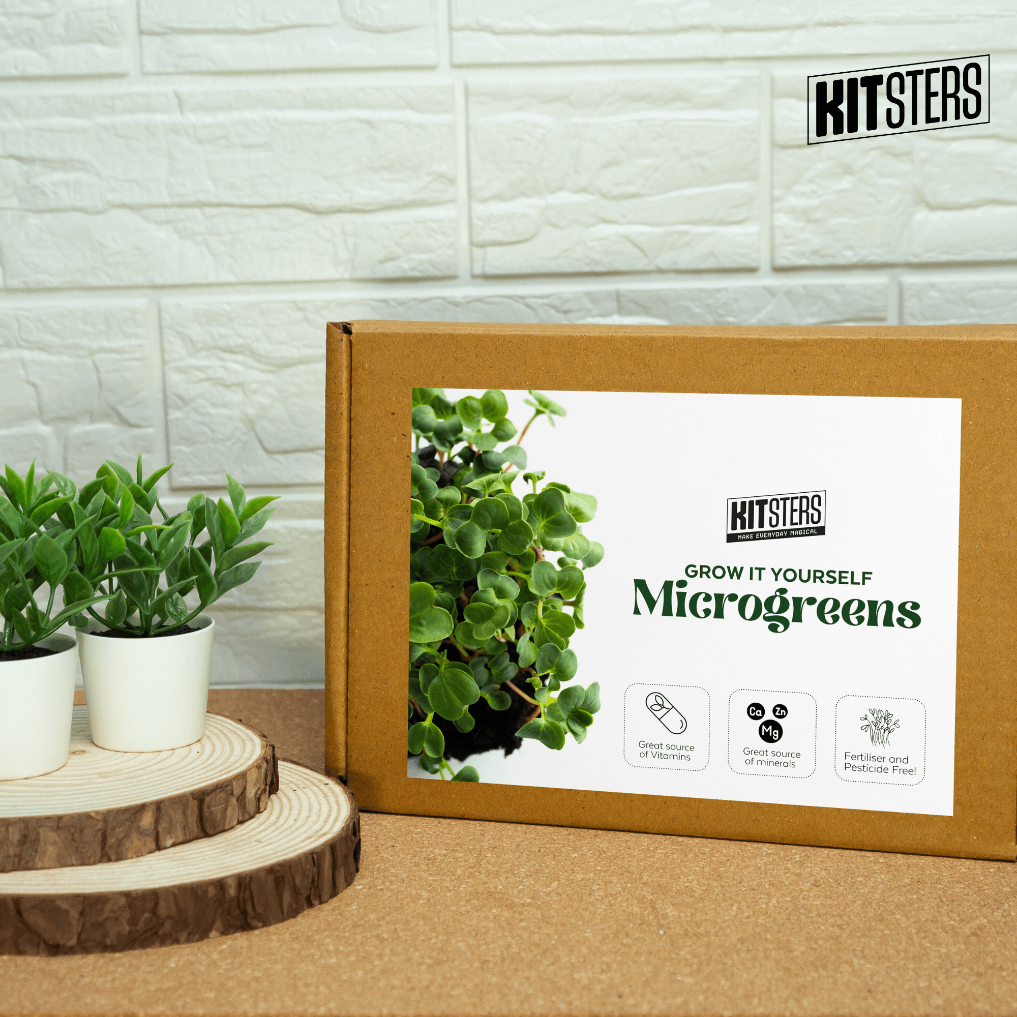DIY Microgreens Kit | Fun Gardening DIY Kits | Kitsters