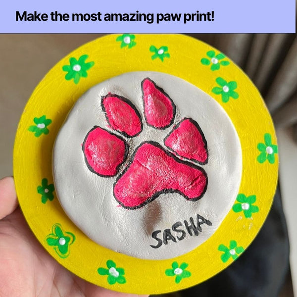 DIY Paw Printing Kit | Best gift for pet owners | Kitsters