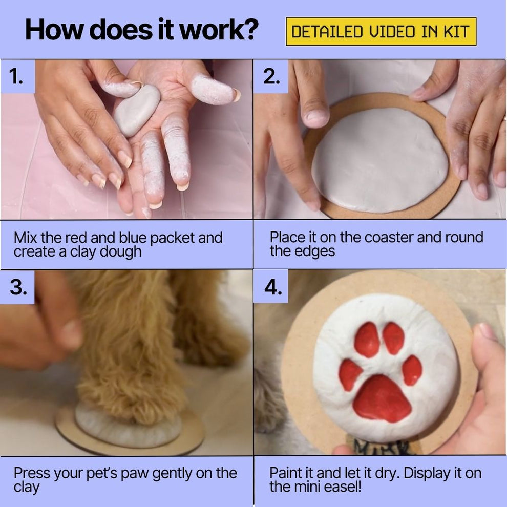 DIY Paw Printing Kit | Best gift for pet owners | Kitsters