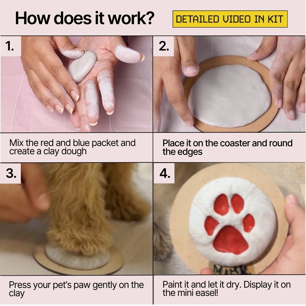 DIY Paw Printing Kit | Best gift for pet owners | Kitsters