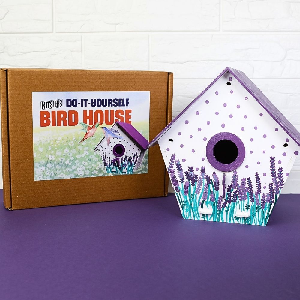 DIY Bird House Kit | DIY Arts and Crafts Kits | Kitsters